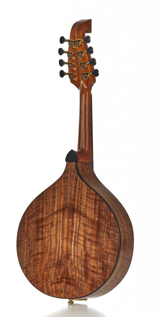Mandolins